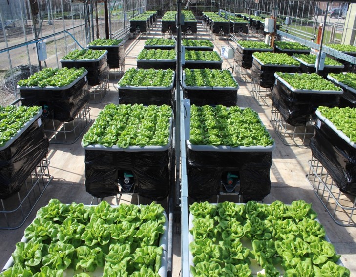 STC and UK Agri-Tech Centre : Stockbridge Technology Centre